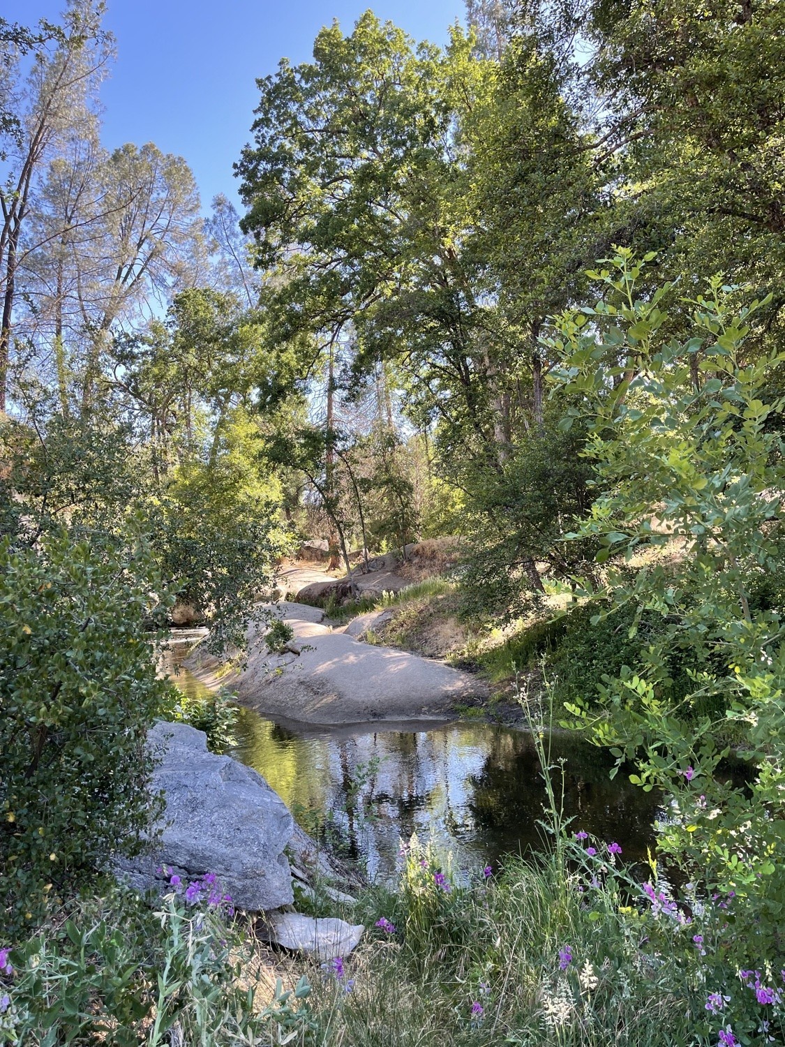 Campground Spotlight: High Sierra RV & Mobile Park - Metropolitan Mama
